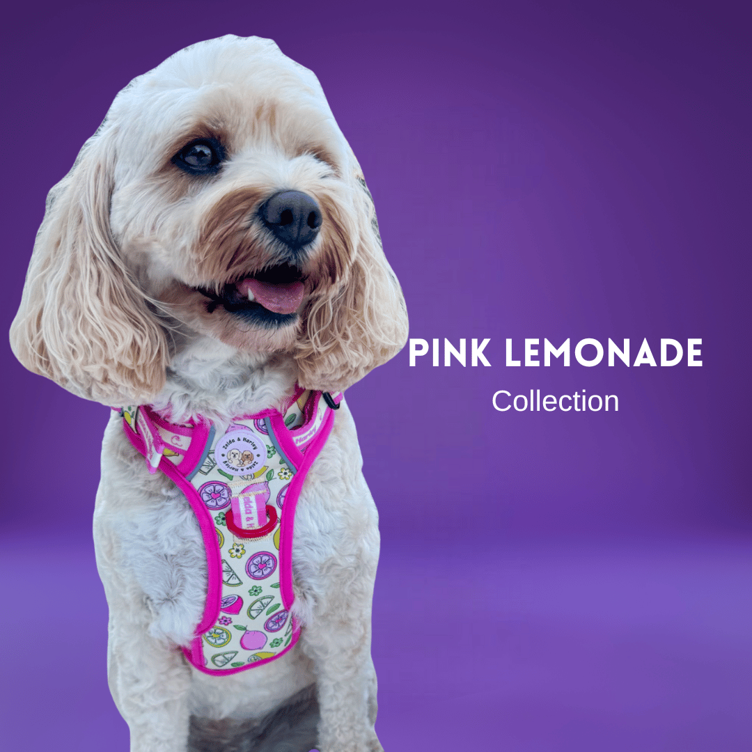 Pink Lemonade Collection – Zelda & Harley