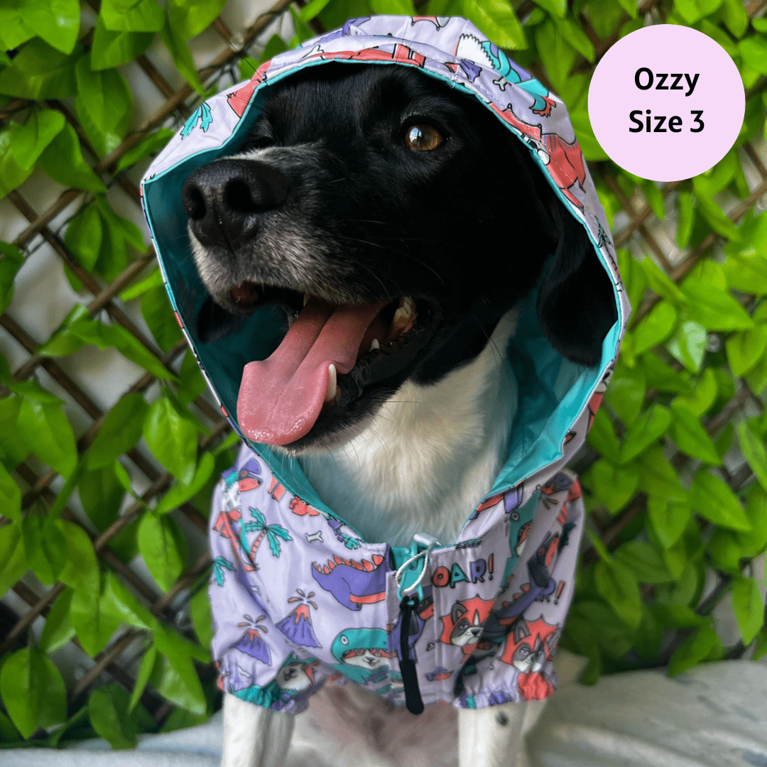 Doggosaurus Rex Reversible Raincoat – Zelda & Harley